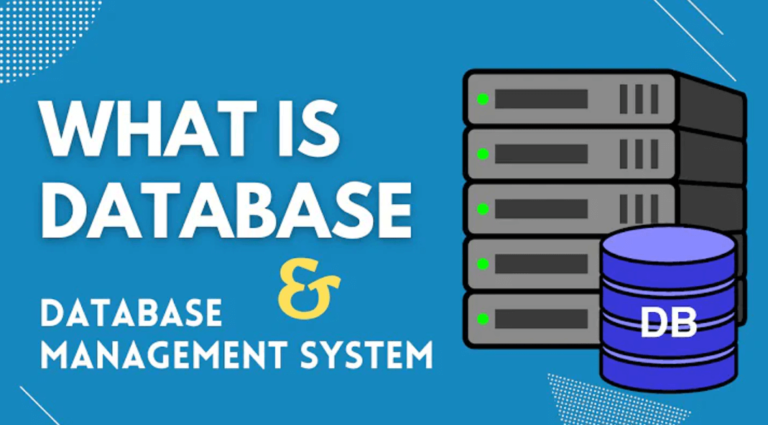 Database Host Là Gì? Vai Trò Và Phân Loại Database Host Database Host Là Gì? Vai Trò Và Phân Loại Database Host